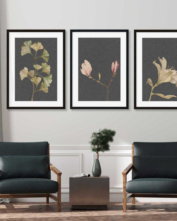 Set Of Three Prints | 3 Piece Framed Wall Art Prints